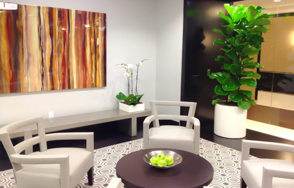 South Florida Indoor Plant Design | Rentals | Maintenance